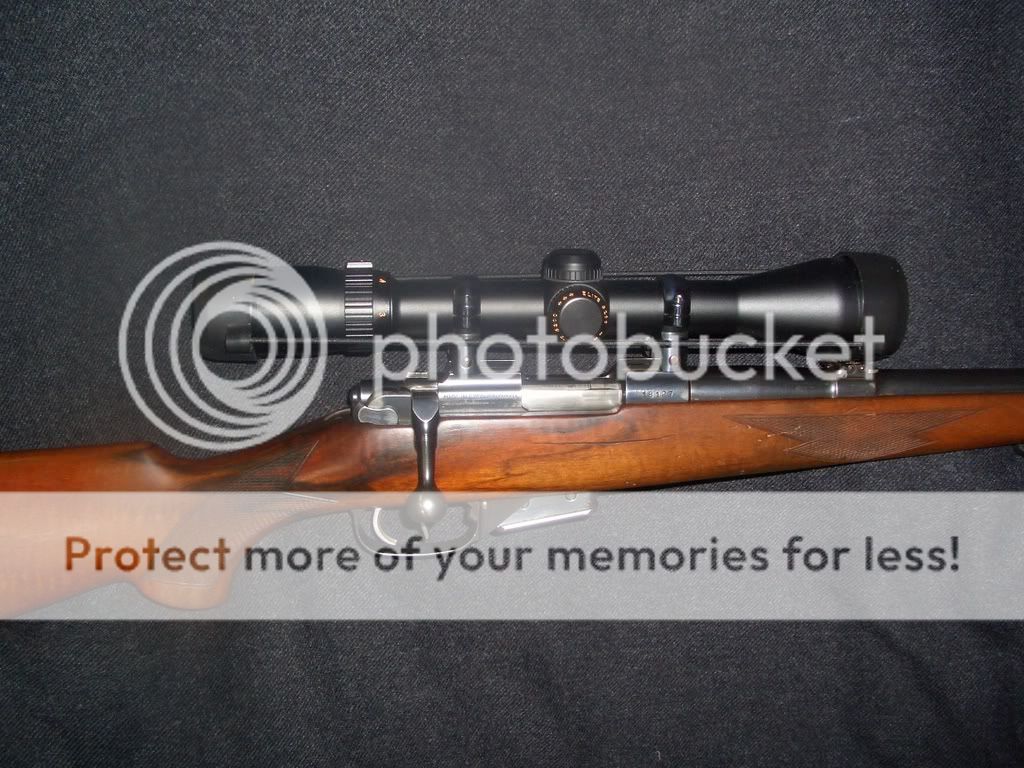 .22 Hornet | Rimfire Central Firearm Forum