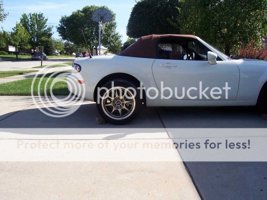 what do you guys think of marble white and gold rims? - MX-5 Miata Forum