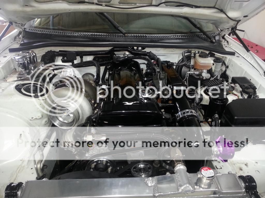 Blacked out engine bays pictures? | Supra Forums
