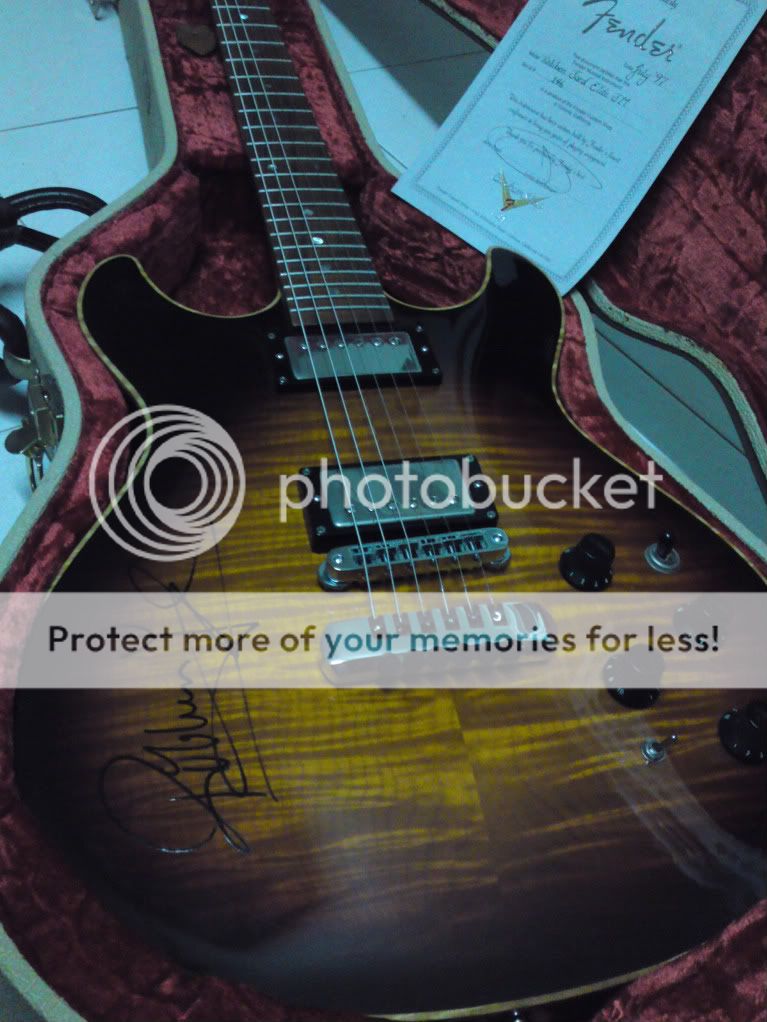 Fender "Robben Ford signature" - Guitarras - Musiquiatra